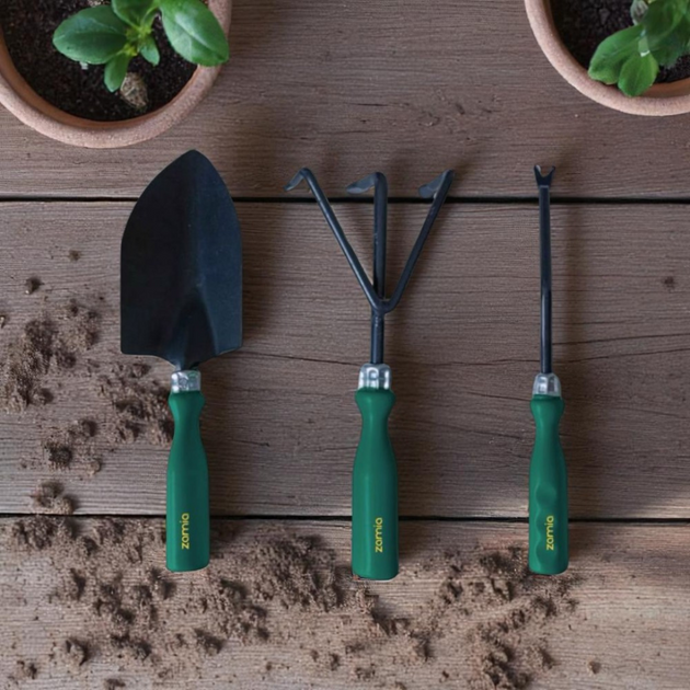 Plant Care – Nurturing Green