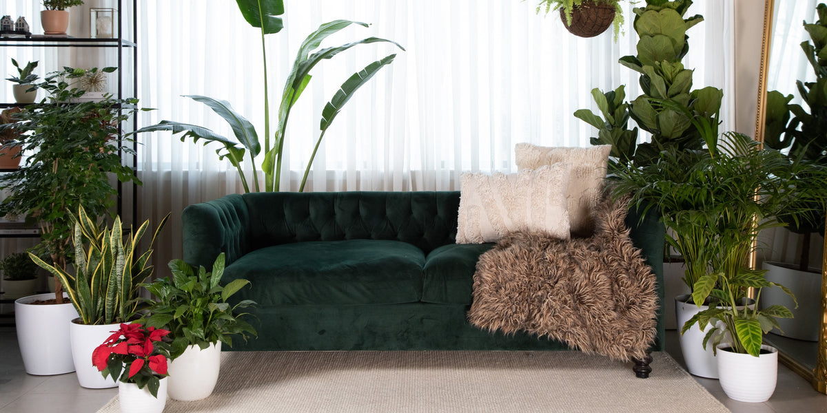 Living Room – Nurturing Green