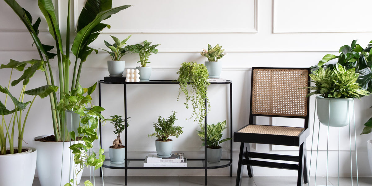 Low Maintenance – Nurturing Green