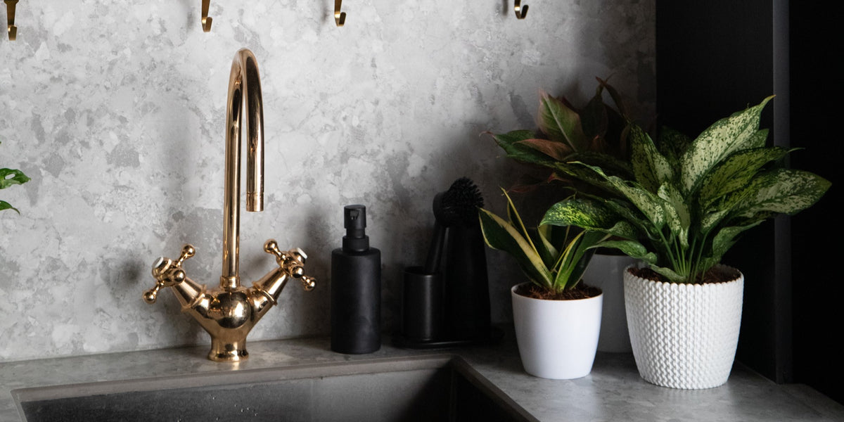 Low Light Corners – Nurturing Green