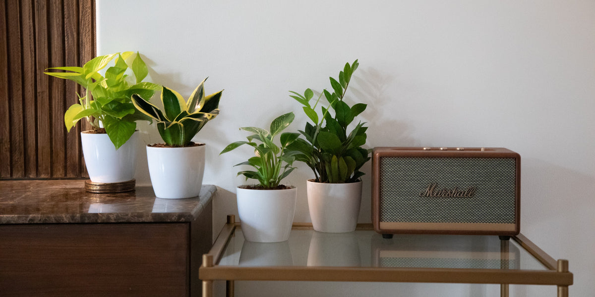 Bedroom – Nurturing Green