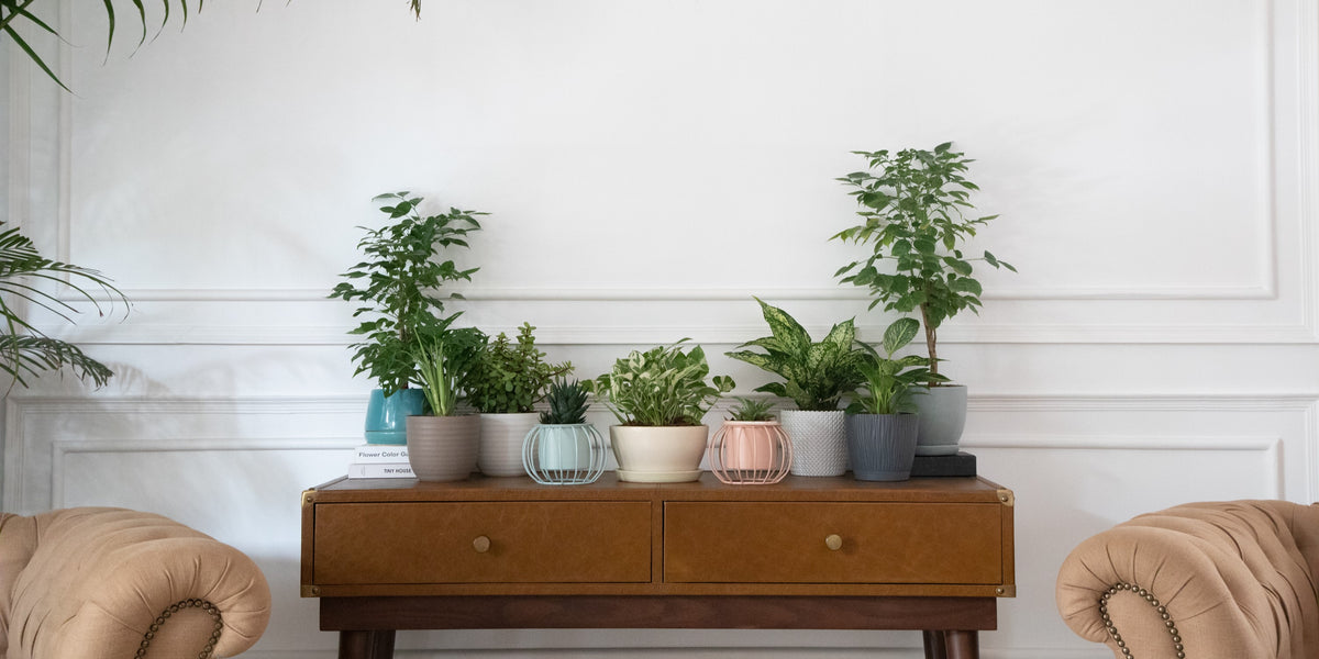 Material – Nurturing Green